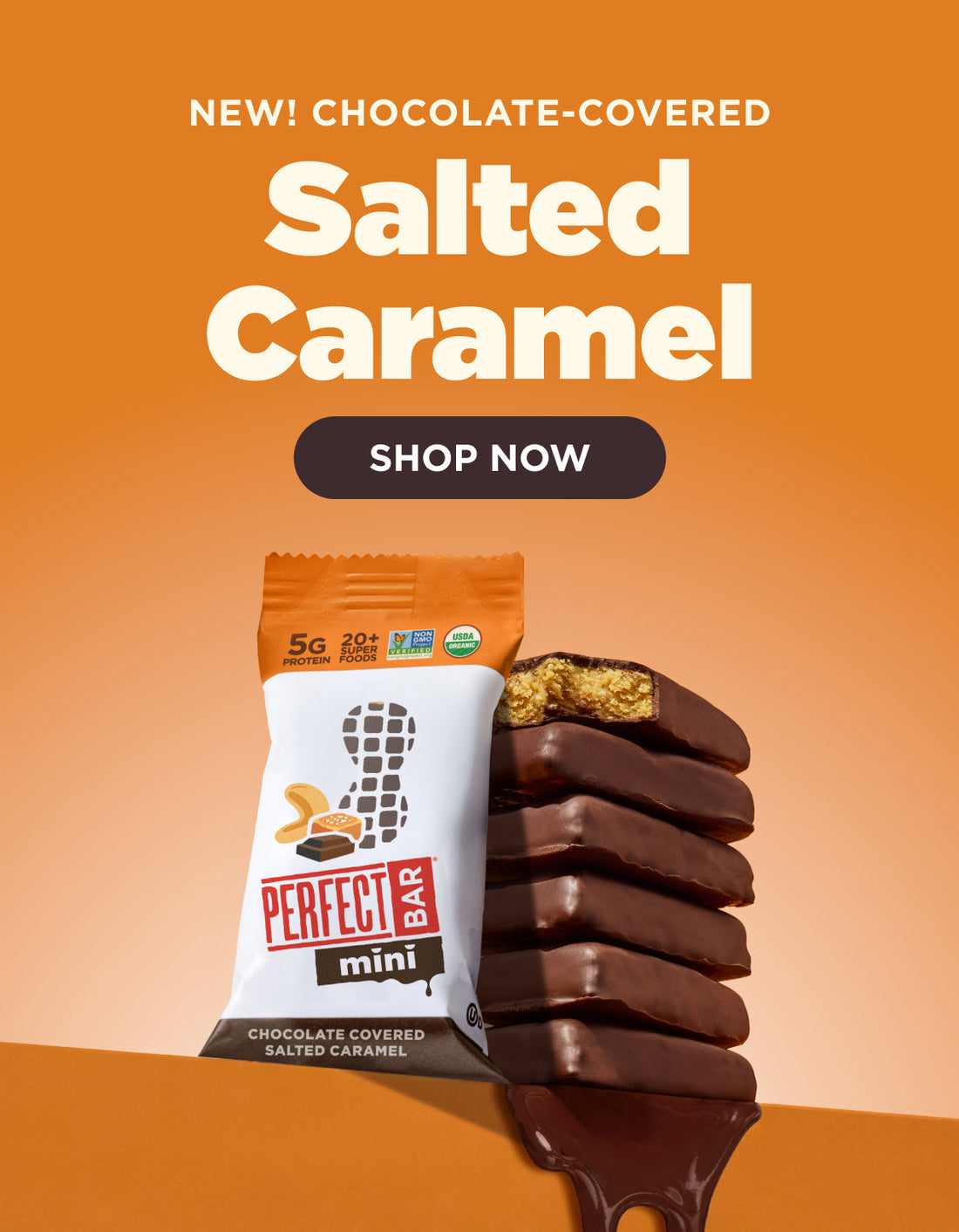 Perfect Bar Mini | Perfect Snacks